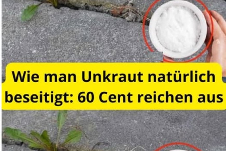 Wie man Unkraut natürlich beseitigt: 60 Cent reichen aus - Deutschideen Wie man Unkraut natürlich beseitigt: 60 Cent reichen aus - Deutschideen